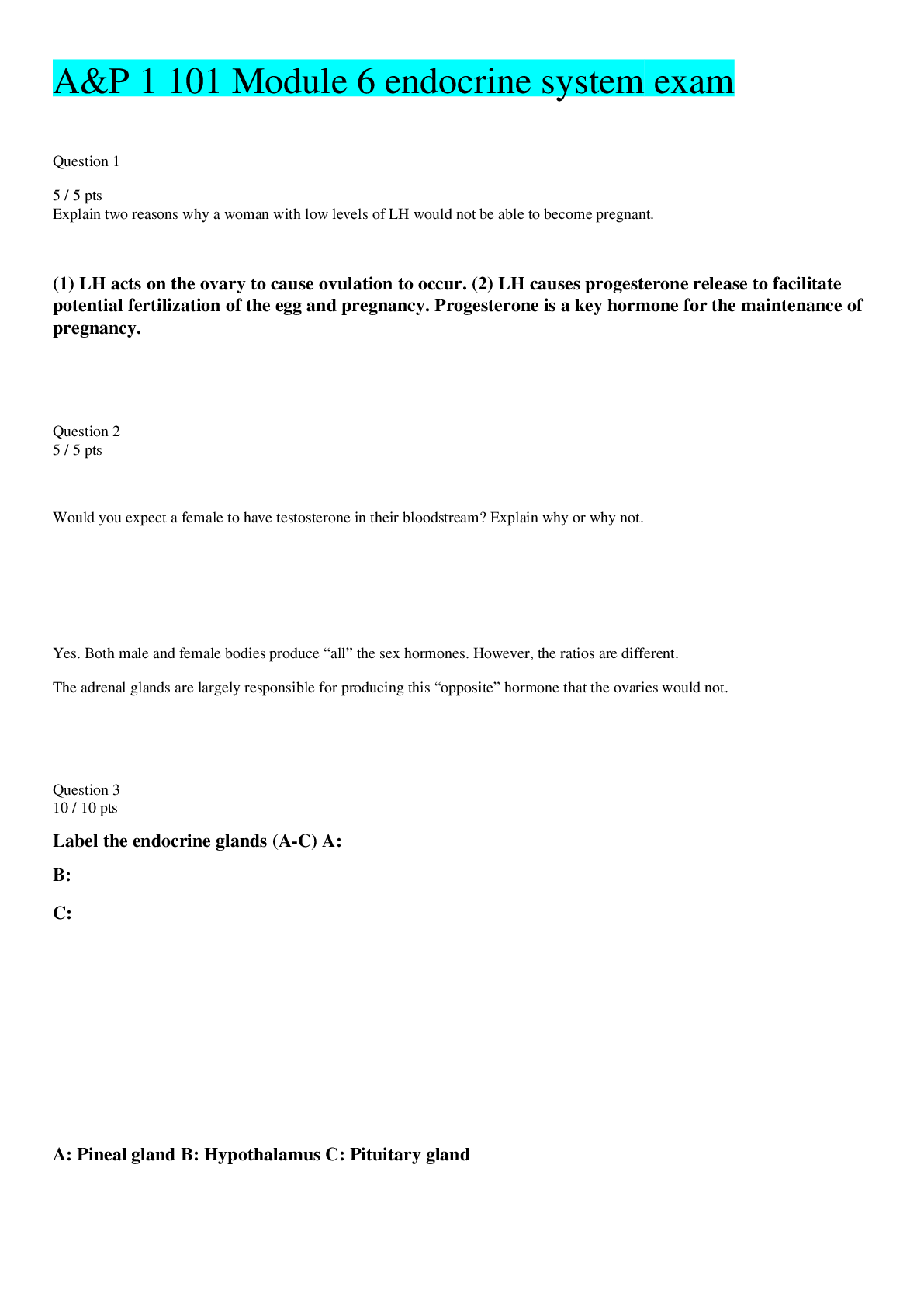 A&P 1 101 Module 6 endocrine system exam - Scholarfriends