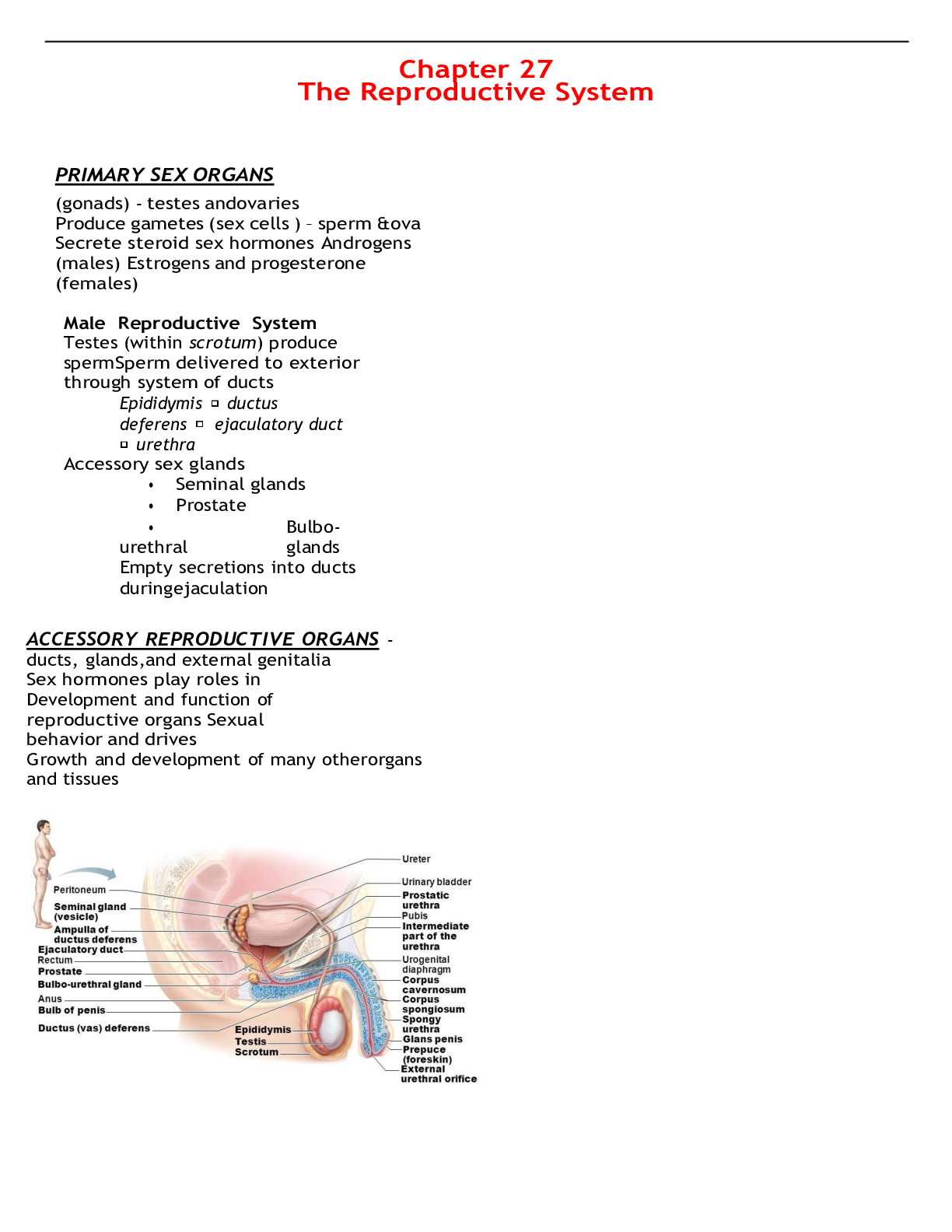 ATI The Reproductive System (Latest 2021) Correct Questions and Answers ...