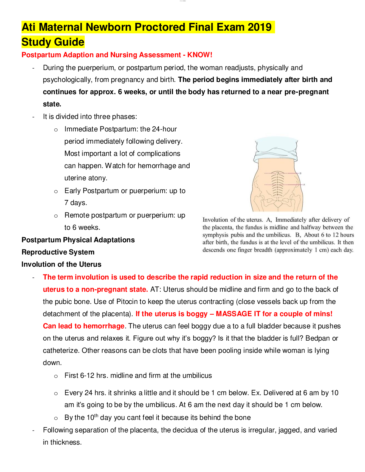 Ati Maternal Newborn Proctored Final Exam 2019 - Study Guide ...