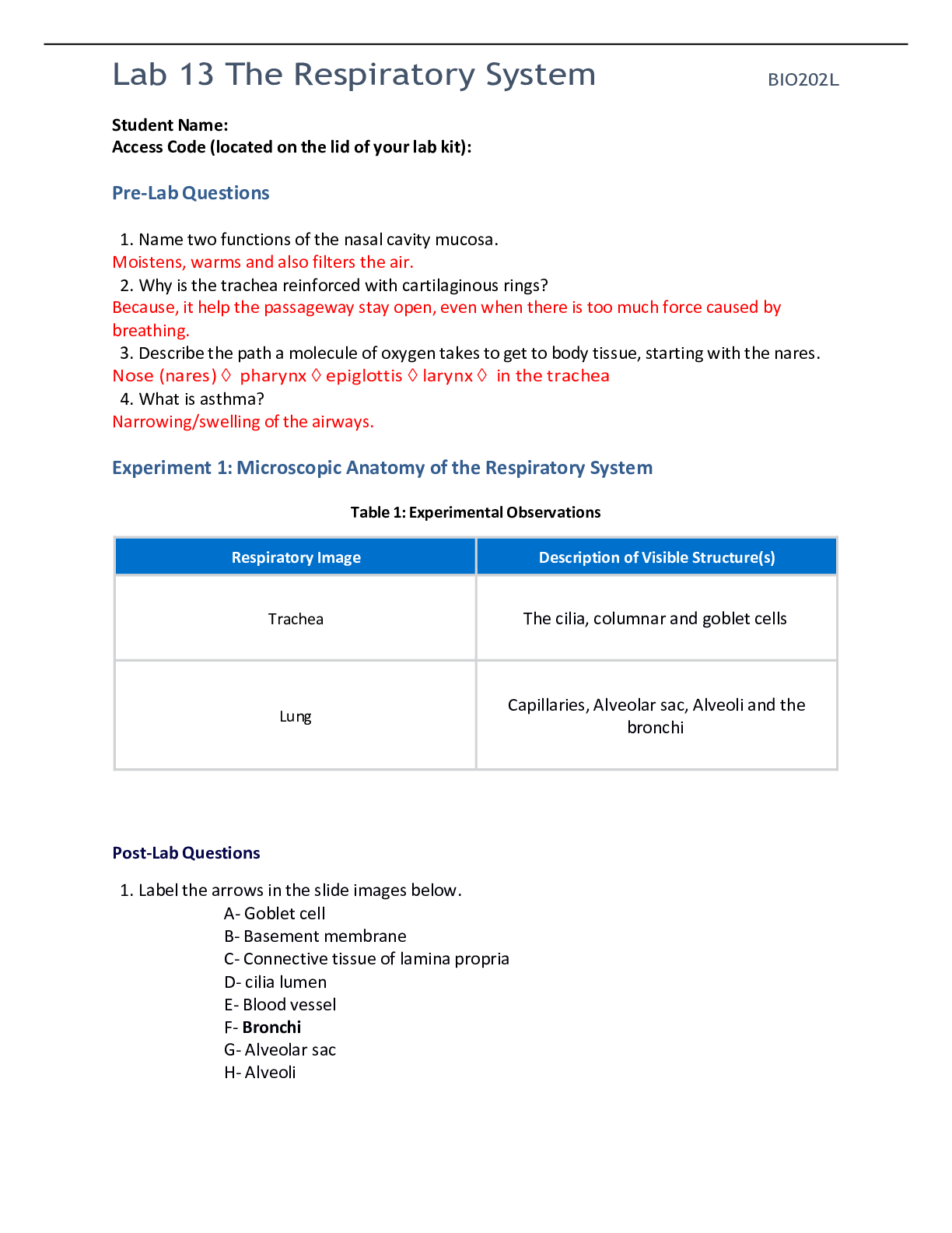 BIO 202L Lab 13 Worksheet - The Respiratory System - Scholarfriends
