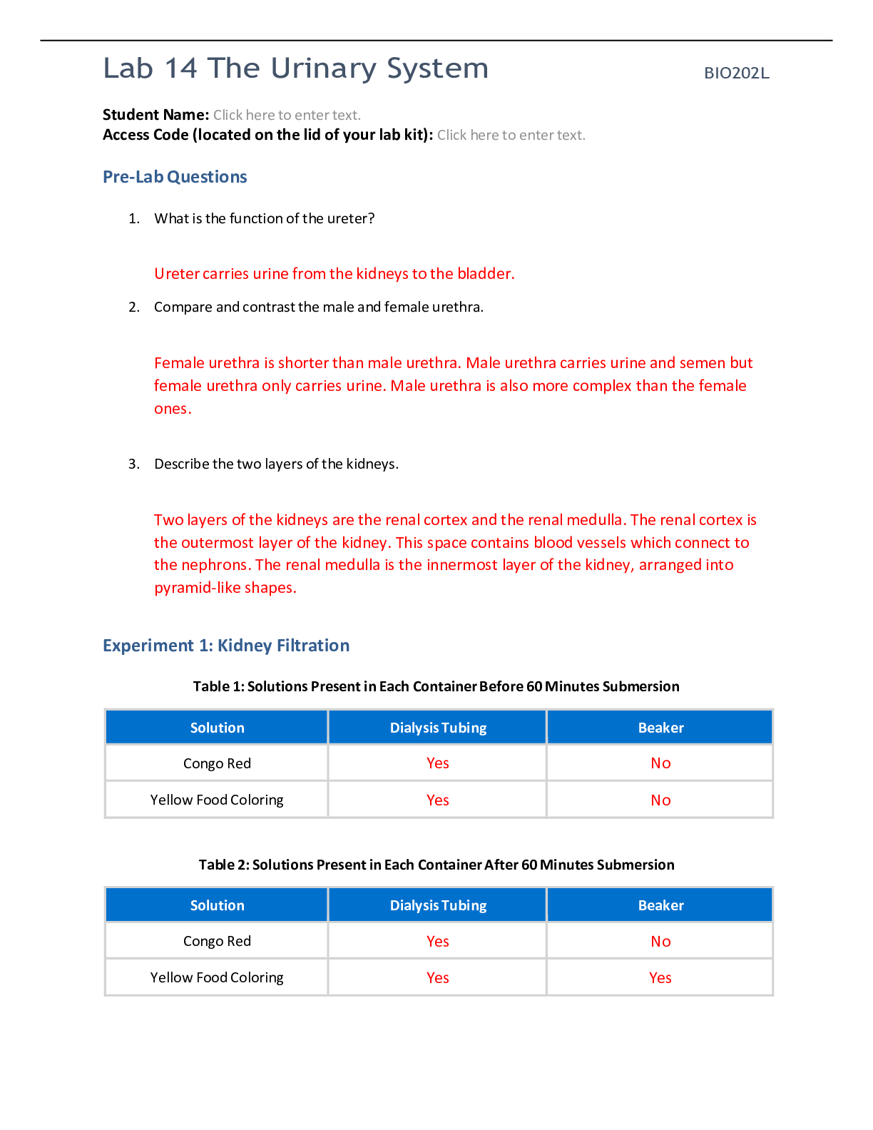 BIO 202L Lab 14 Worksheet - The Urinary System - Scholarfriends