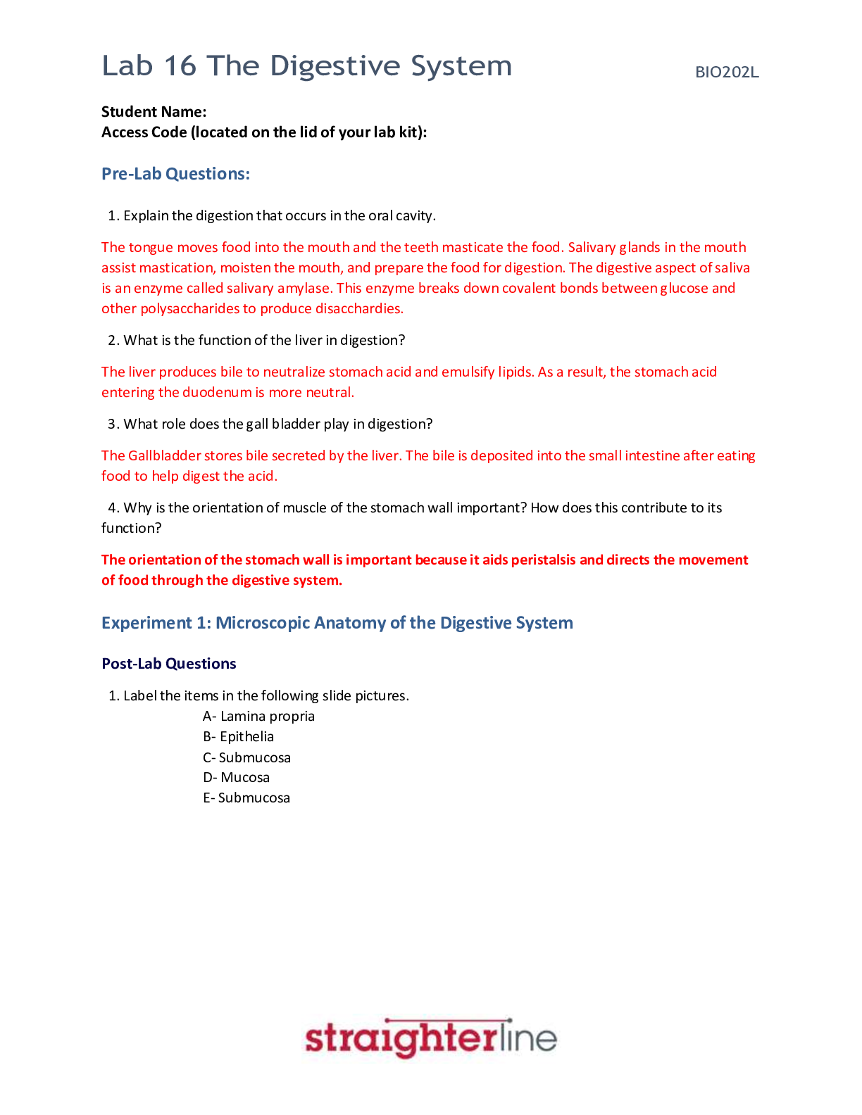 BIO 202L Lab 16 Worksheet - The Digestive System - Scholarfriends