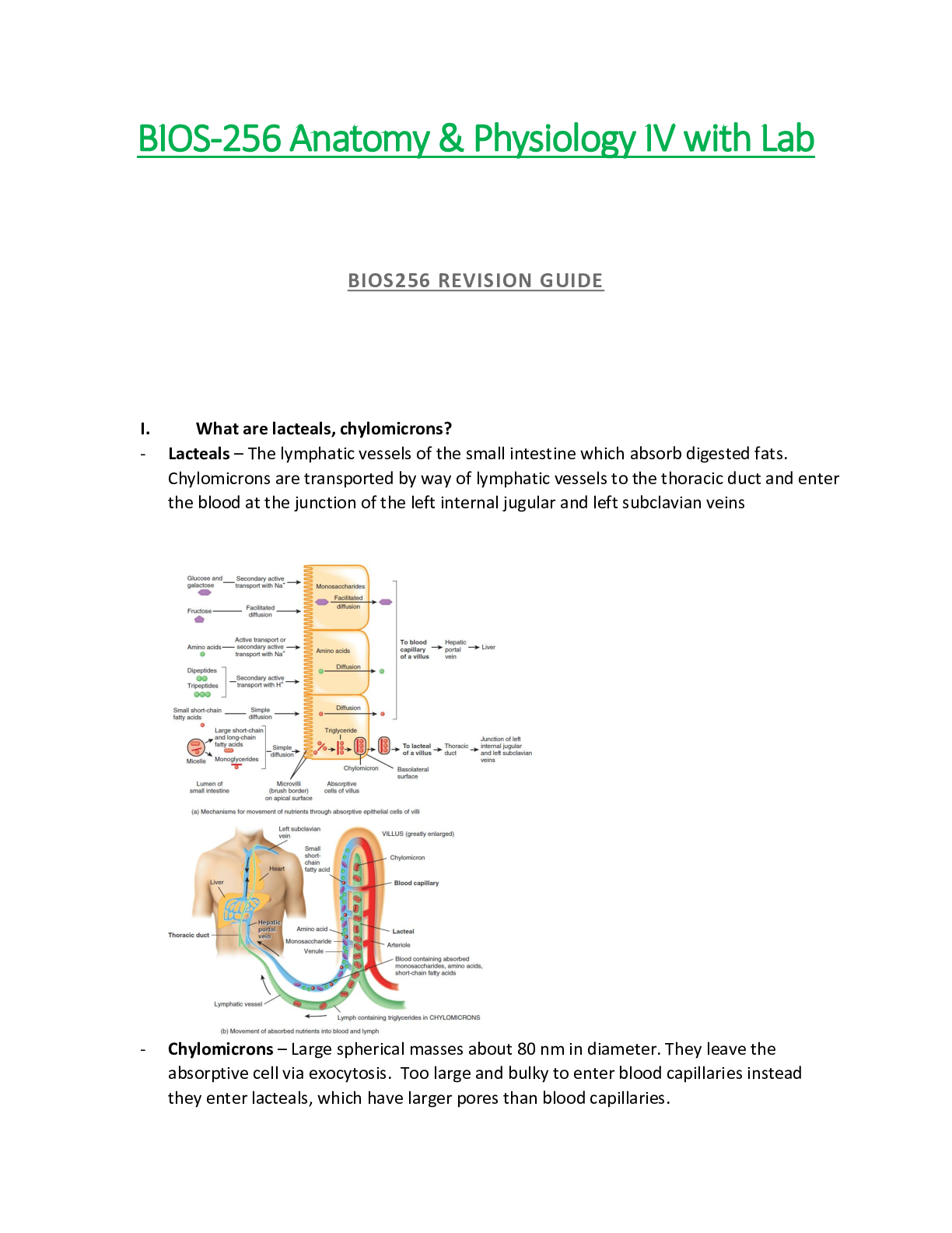 BIOS256 / BIOS 256 Revision Guide (Latest): Anatomy & Physiology IV ...