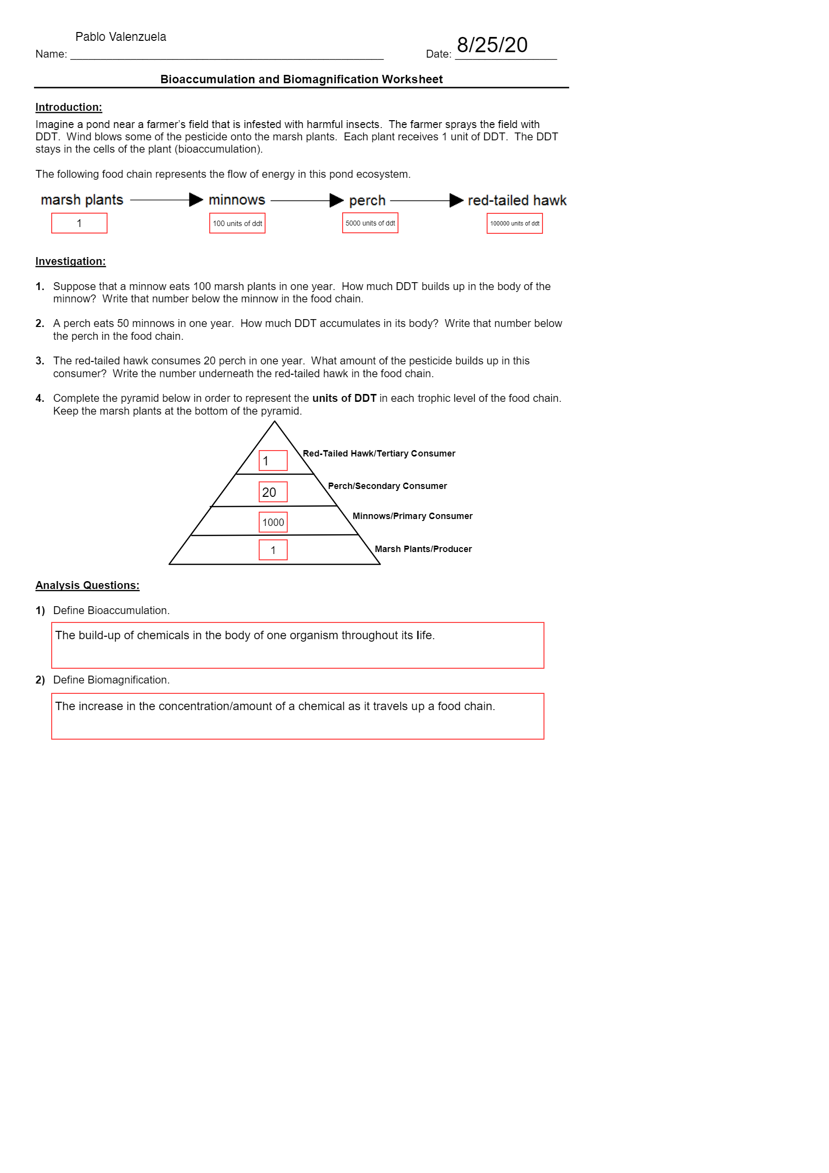 Questions and Answers > Ironwood High School - BIO 123: Bioaccumulation ...