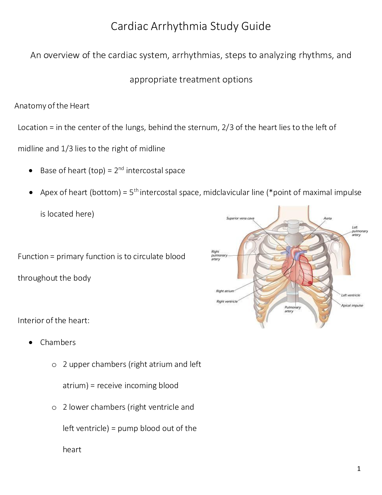 Cardiac Arrhythmia Study Guide: An overview of the cardiac system ...