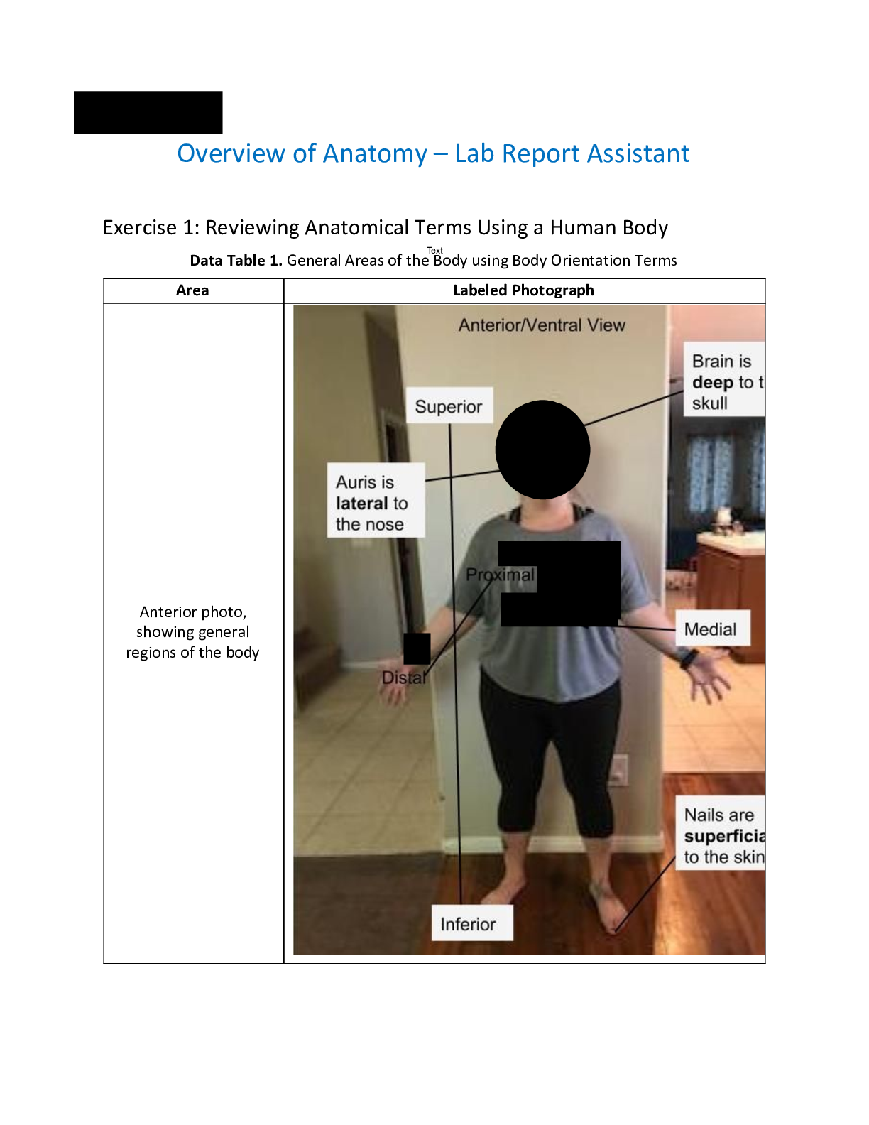 BIOL 230 Carroll Week 1 Lab Overview of Anatomy – Lab Report Assistant ...
