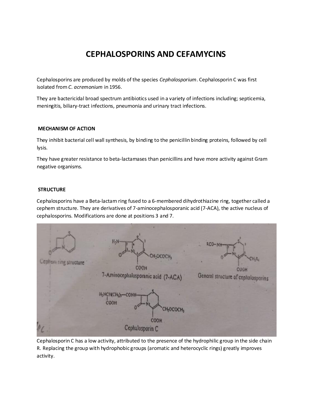 cephalosporins and cephamycins summary – Scholarfriends - Scholarfriends