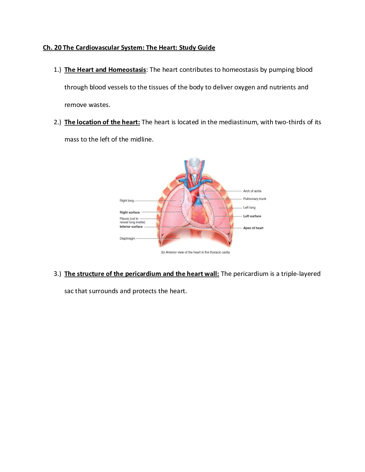 Chamberlain College of Nursing - A&P 255 Chapter 20: The Cardiovascular ...