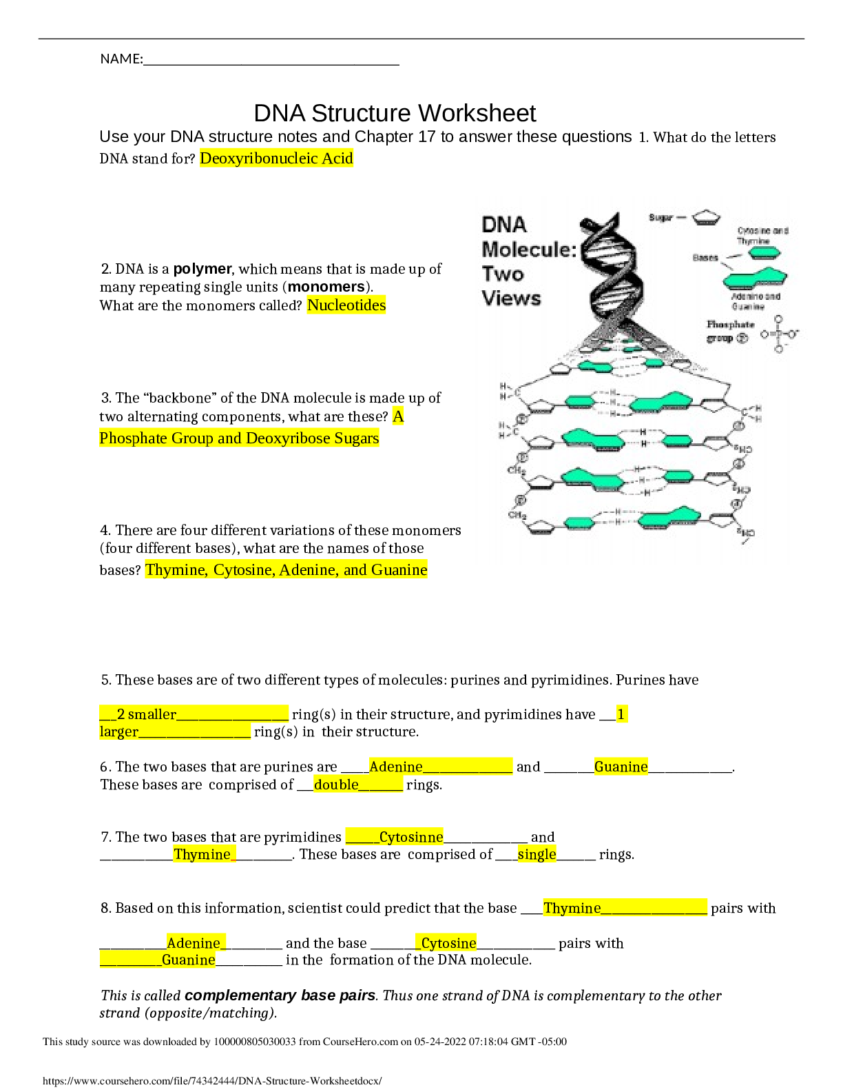 DNA Structure Worksheet - Scholarfriends