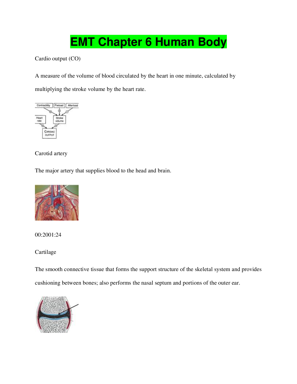 EMT Chapter 6 Human Body - Scholarfriends