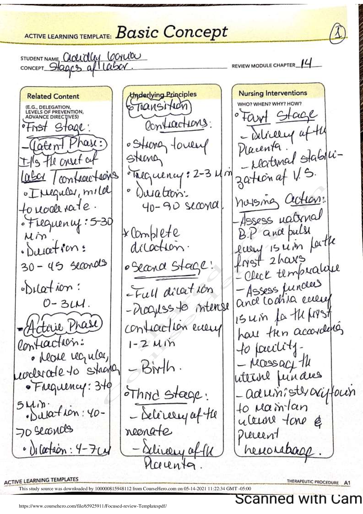 Focused review Templates - Scholarfriends