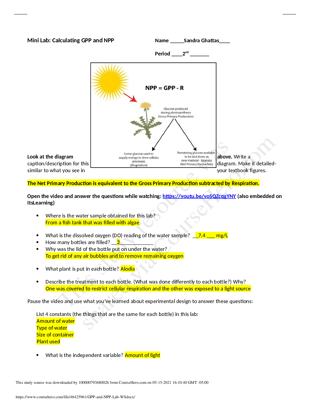 GPP and NPP Lab WS. ANSWERS HIGHLIGHED IN YELLOW,100% SCORE ...