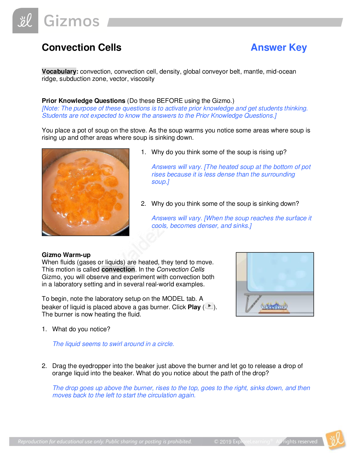 GIZMOS: CONVENTION CELLS ANSWER KEY – Scholarfriends - Scholarfriends