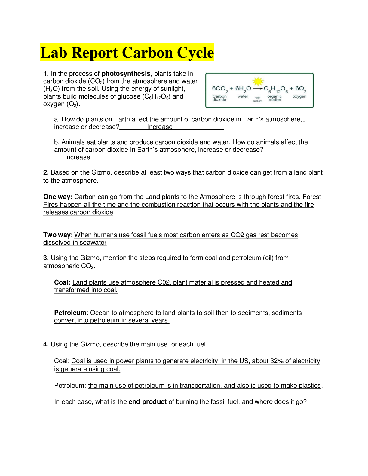 SCIENCE 101Lab Report 11 Carbon Cycle – Scholarfriends - Scholarfriends