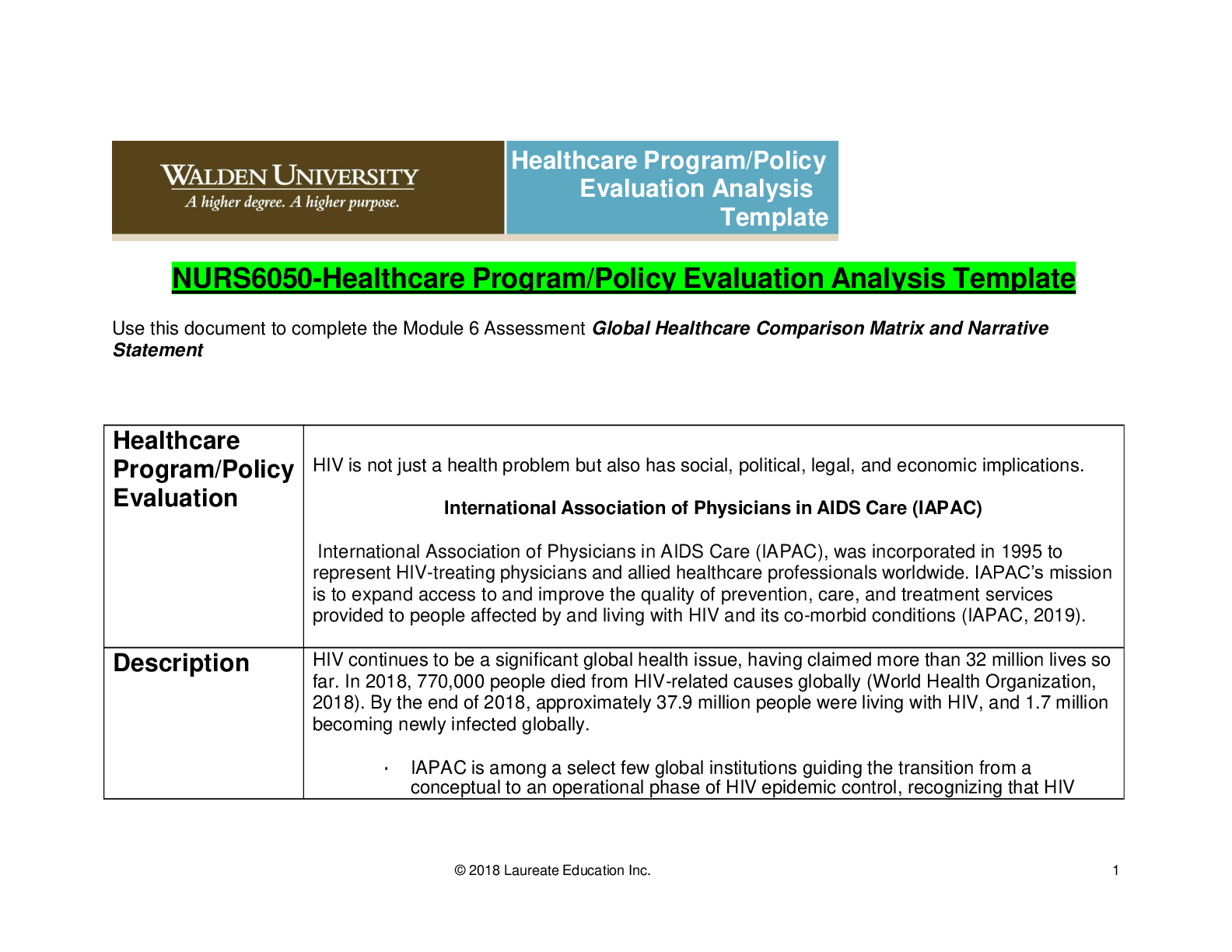 NURS6050-Healthcare Program/Policy Evaluation Analysis Template ...