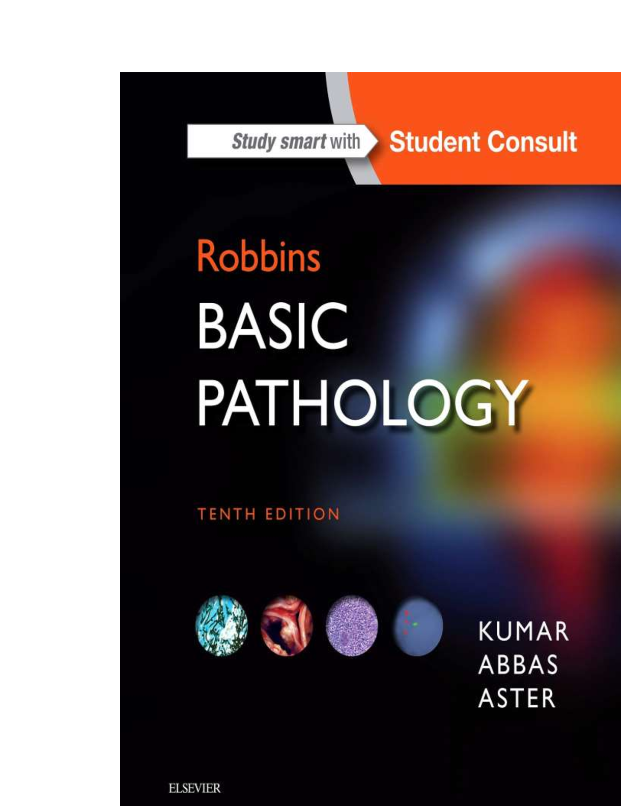 TEST BANK ROBBINS BASIC PATHOLOGY 10TH EDITION KYMAR ABBAS >CHAPTER 1- 24