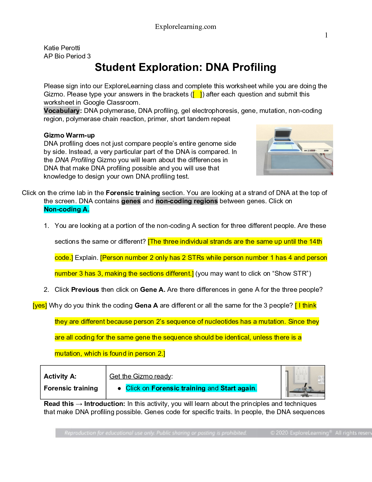 DNA_Profiling_2020_Gizmo_worksheet - Scholarfriends