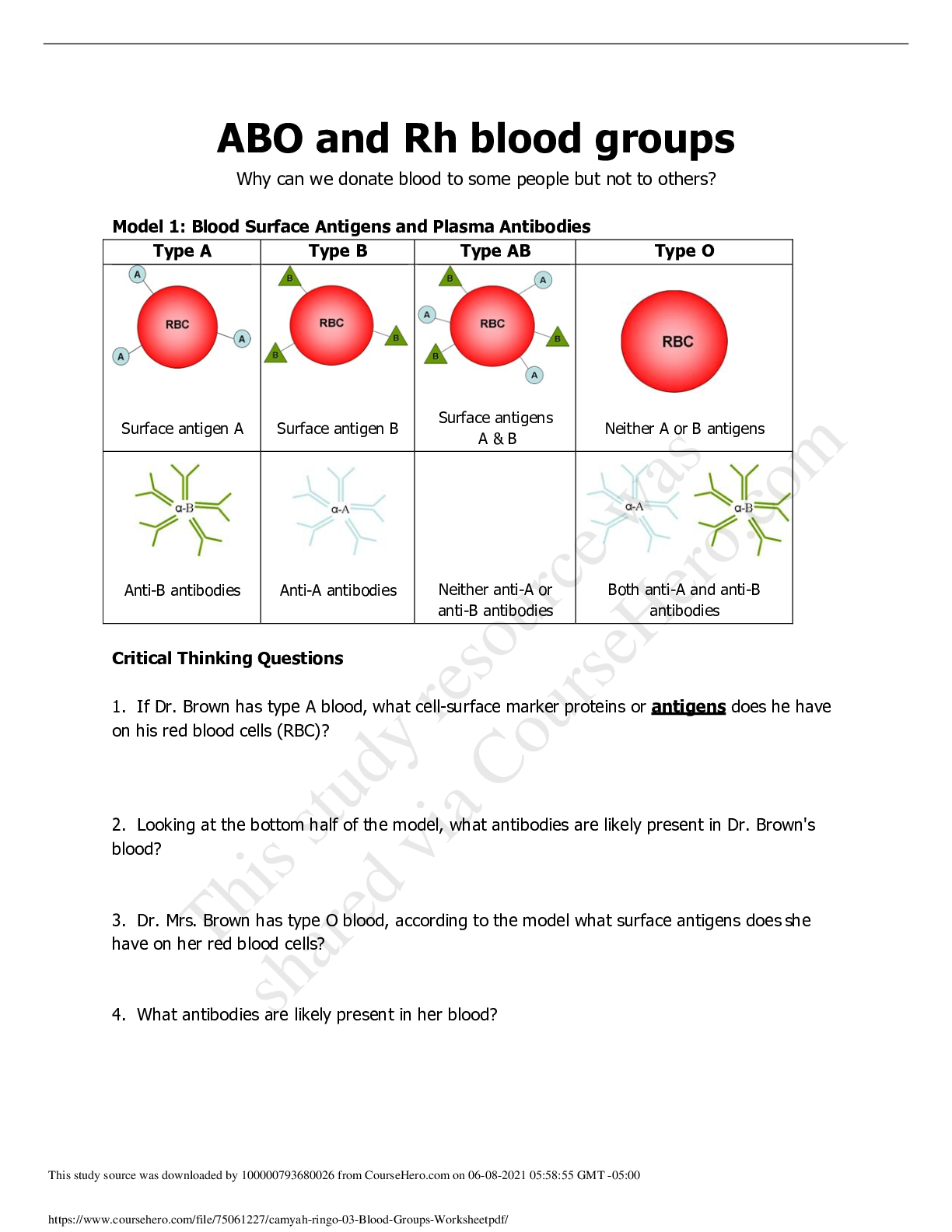 Gulfport High School ANATOMY anatomy ancamyah_ringo_-_03_Blood_Groups ...