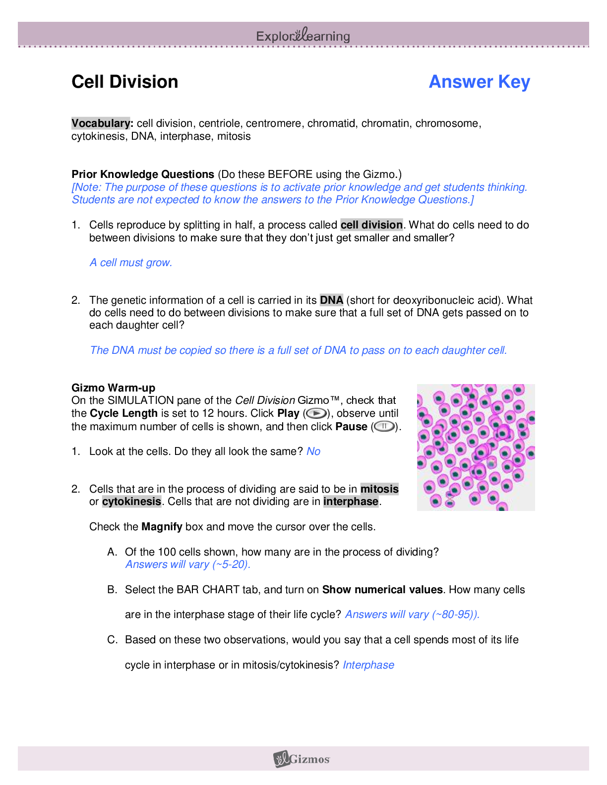 Cell Division. GIZMOS Explore Learning – Scholarfriends - Scholarfriends